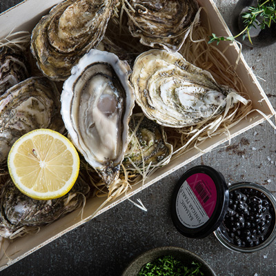 Gillardeau N.1 Oysters 24 Pcs