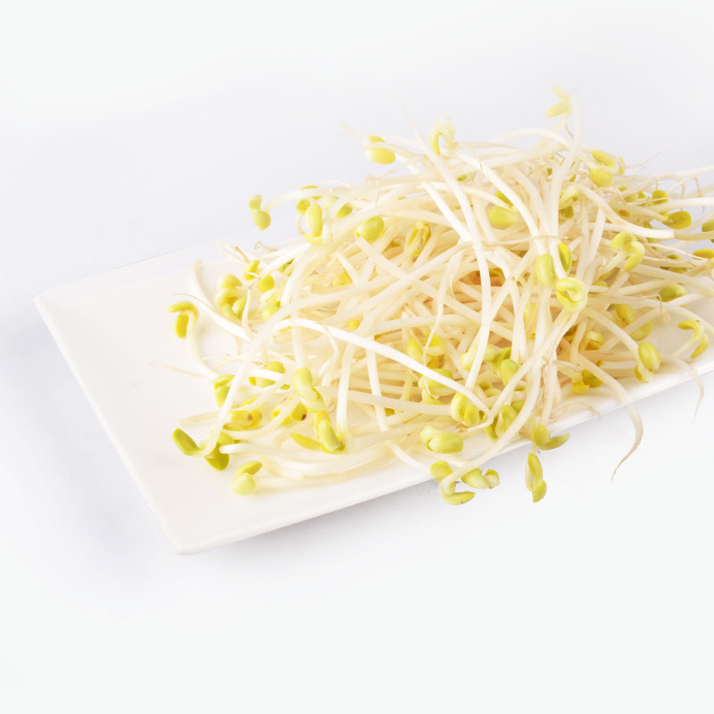 Soy Bean Sprouts 250g